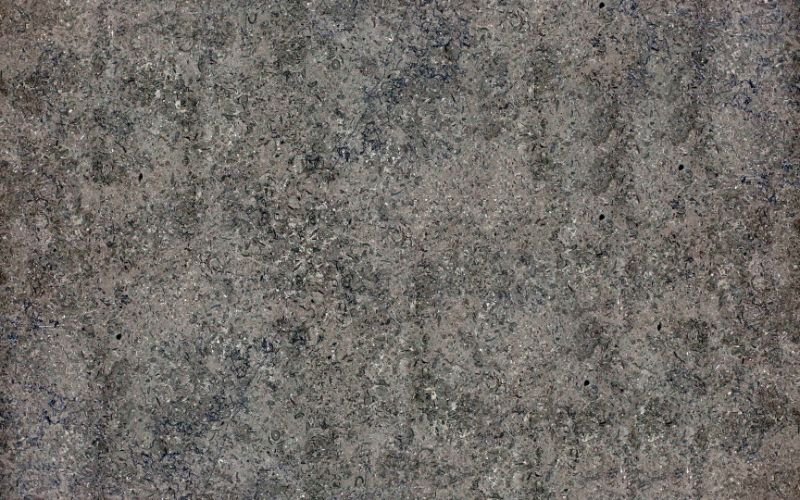 Terista Grey